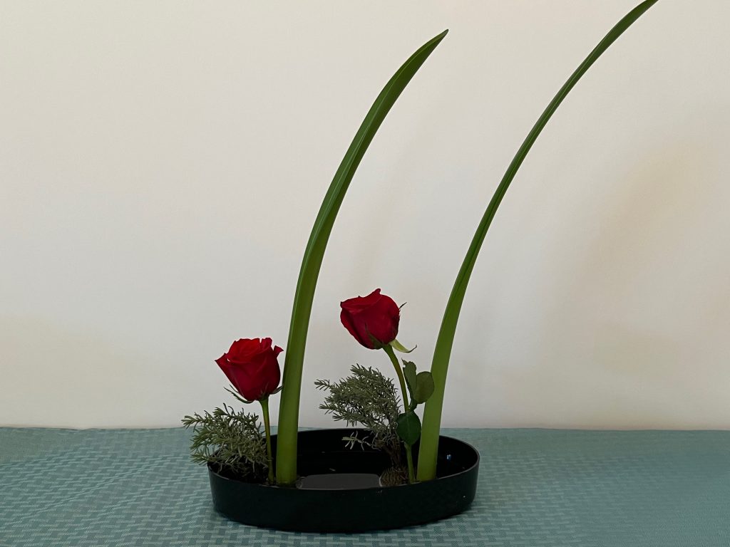 AVANT Feb 2022 – Spatial Thrust | East Lake Washington District of ...