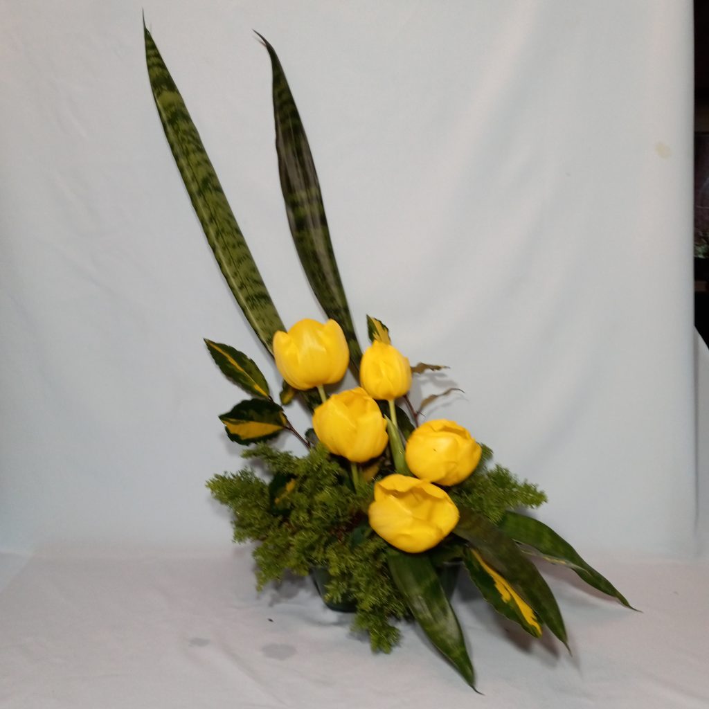 AVANT Feb 2022 – Spatial Thrust | East Lake Washington District of ...