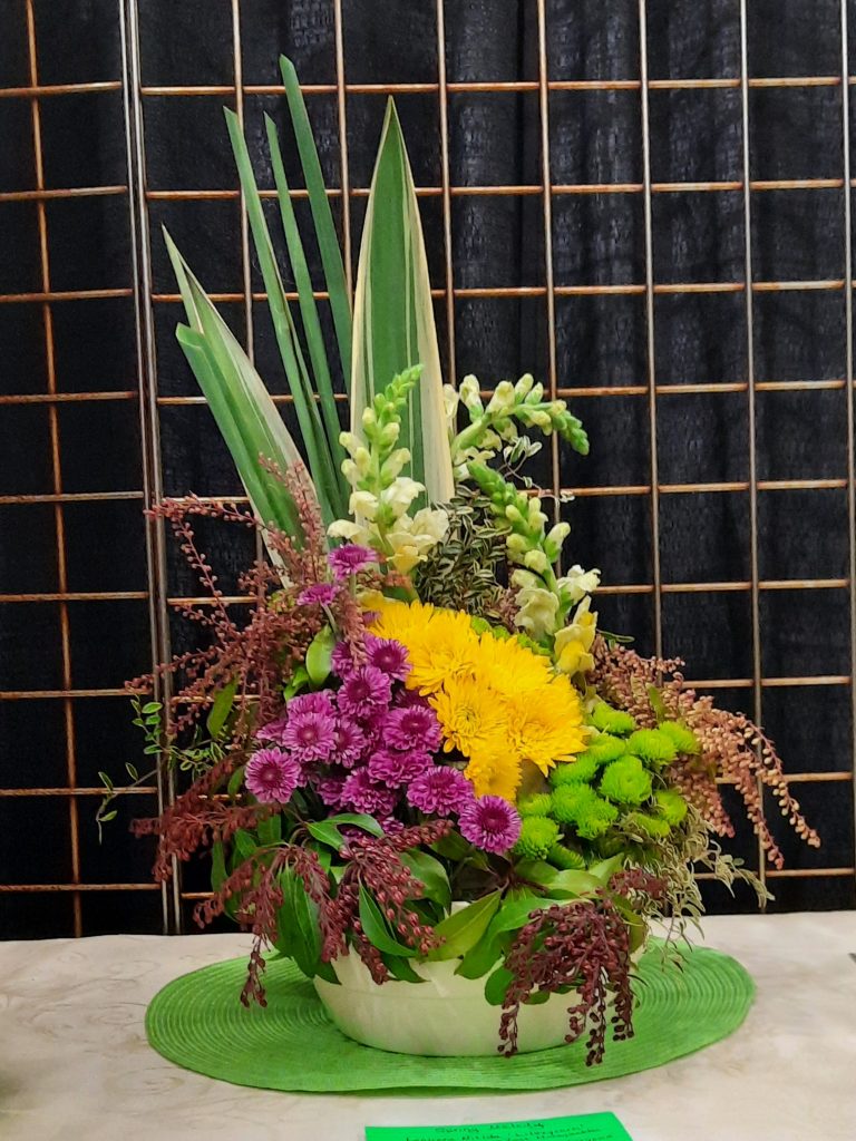 AVANT Feb 2022 – Spatial Thrust | East Lake Washington District of ...