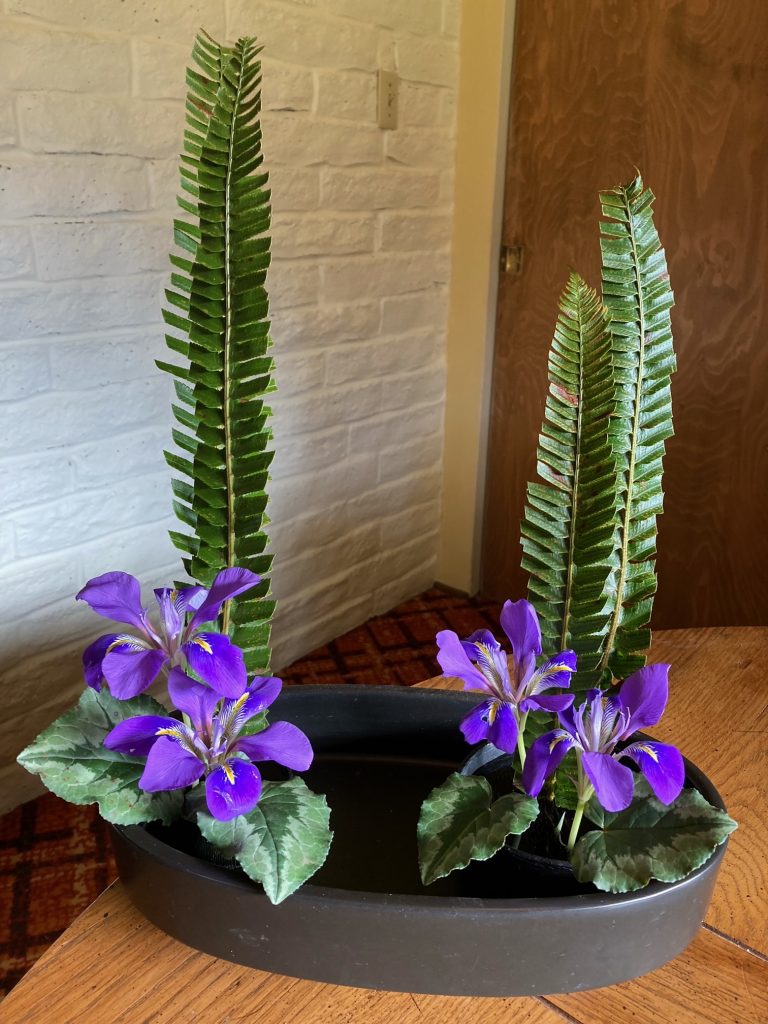 AVANT Feb 2022 – Spatial Thrust | East Lake Washington District of ...