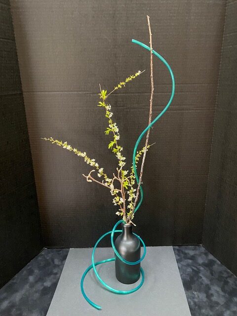 2024 Mar Avant Tubular Design | East Lake Washington District of Garden ...